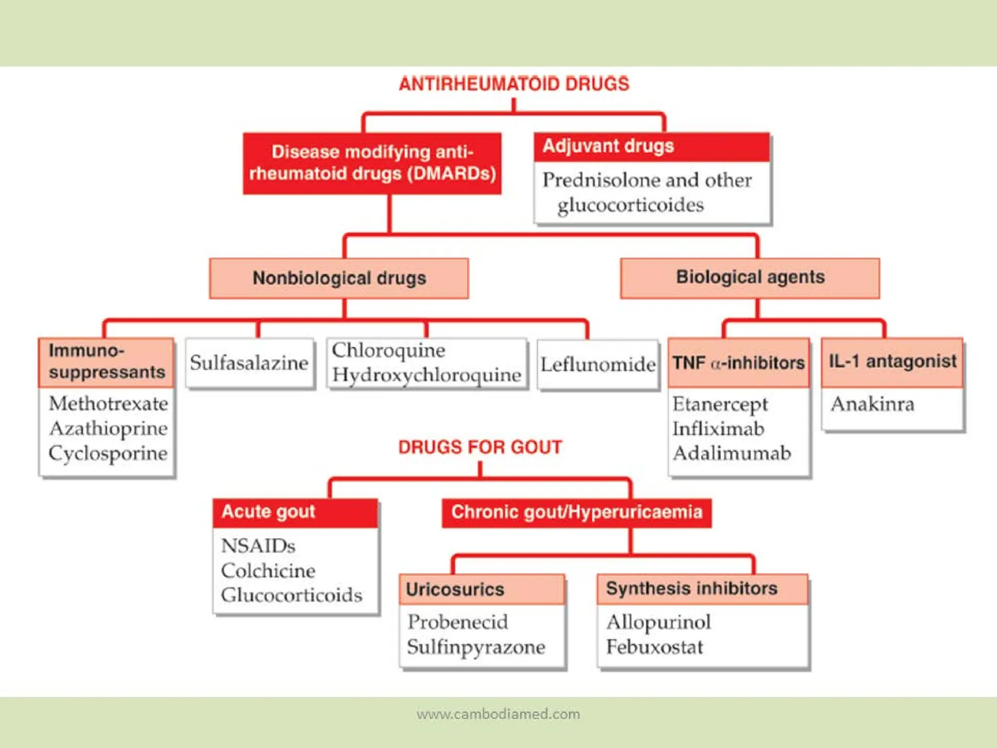pharmacological classification of drugs from KD Tripathi | PDF