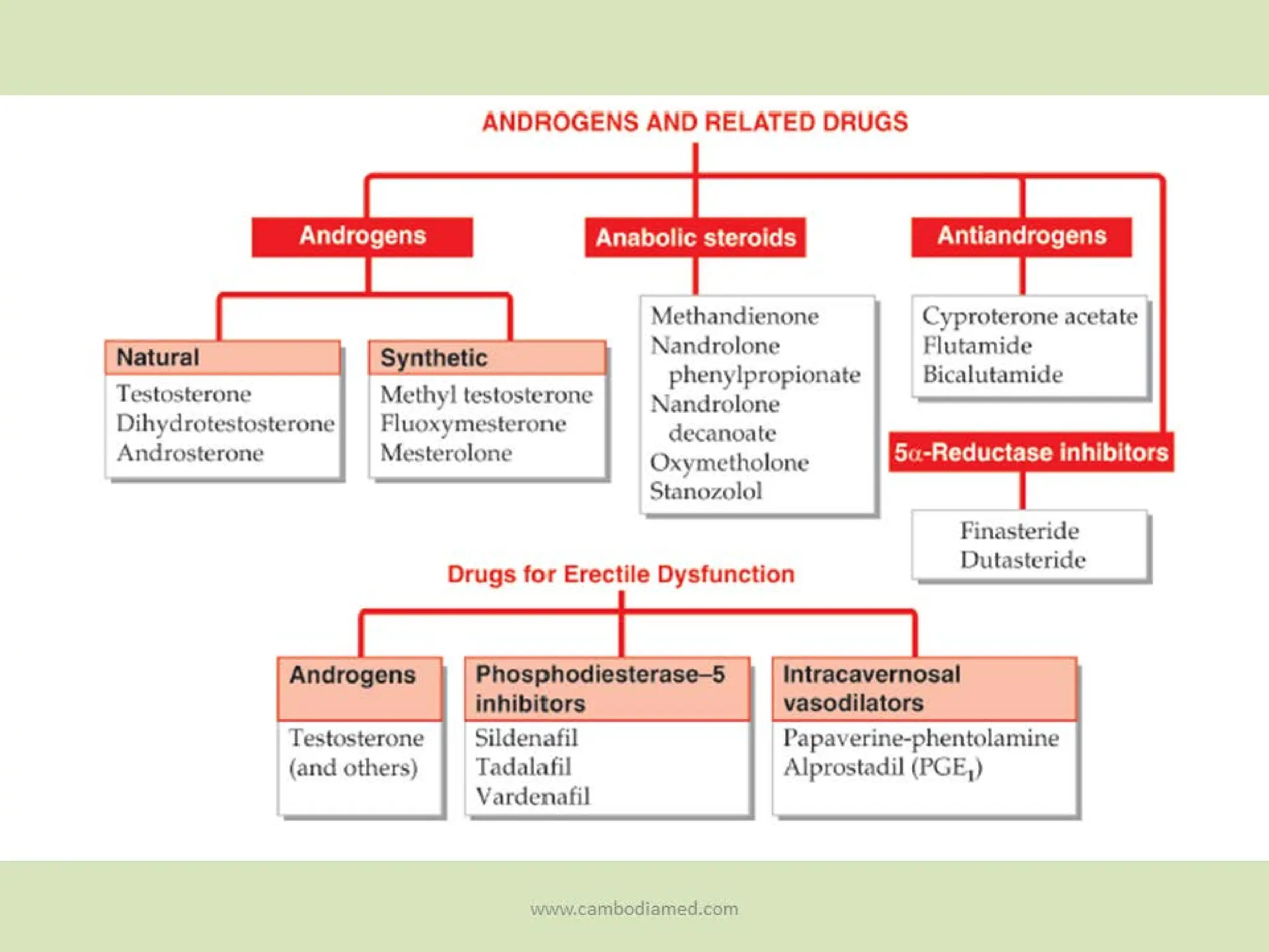 pharmacological classification of drugs from KD Tripathi | PDF