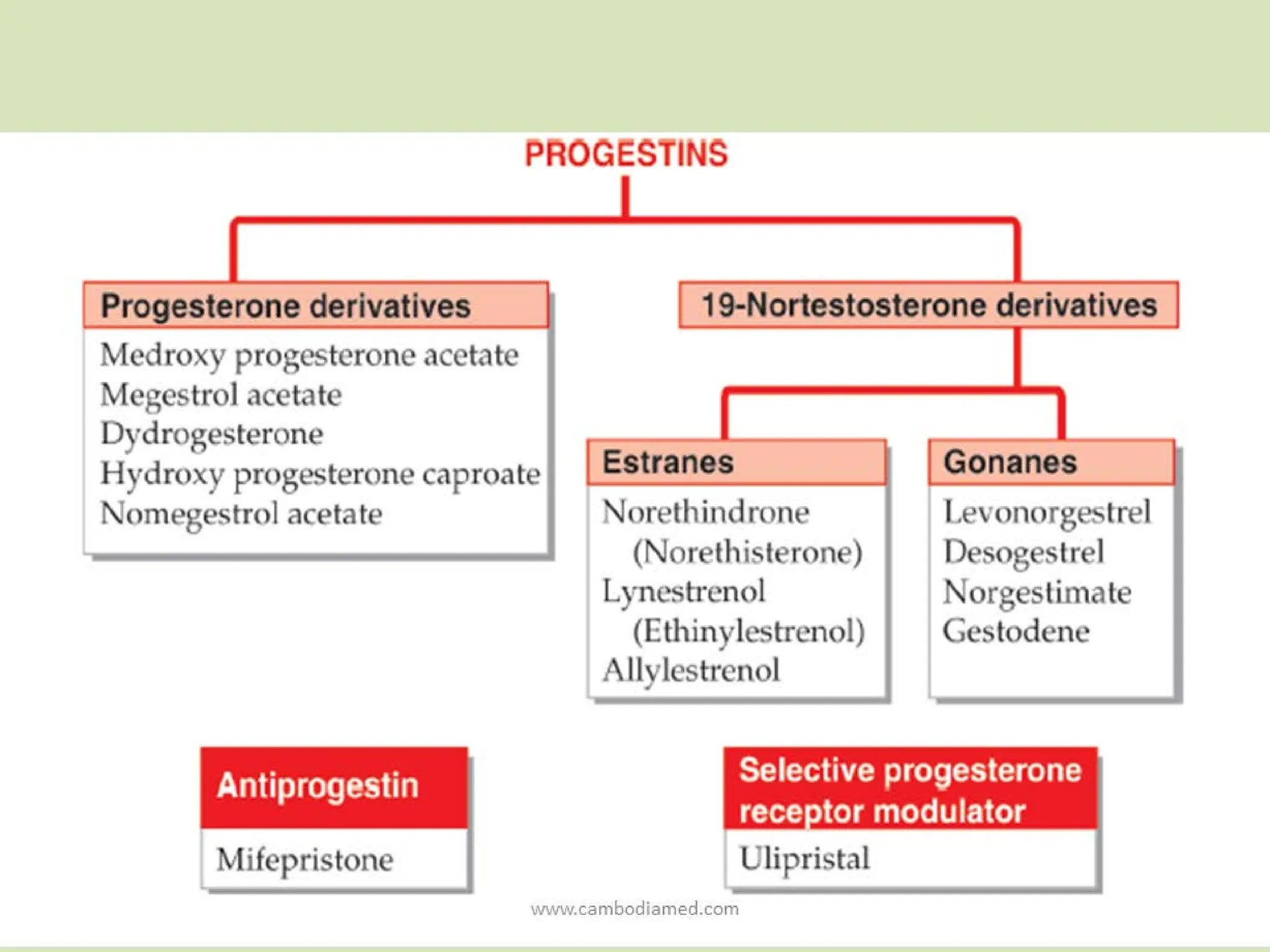 pharmacological classification of drugs from KD Tripathi | PDF