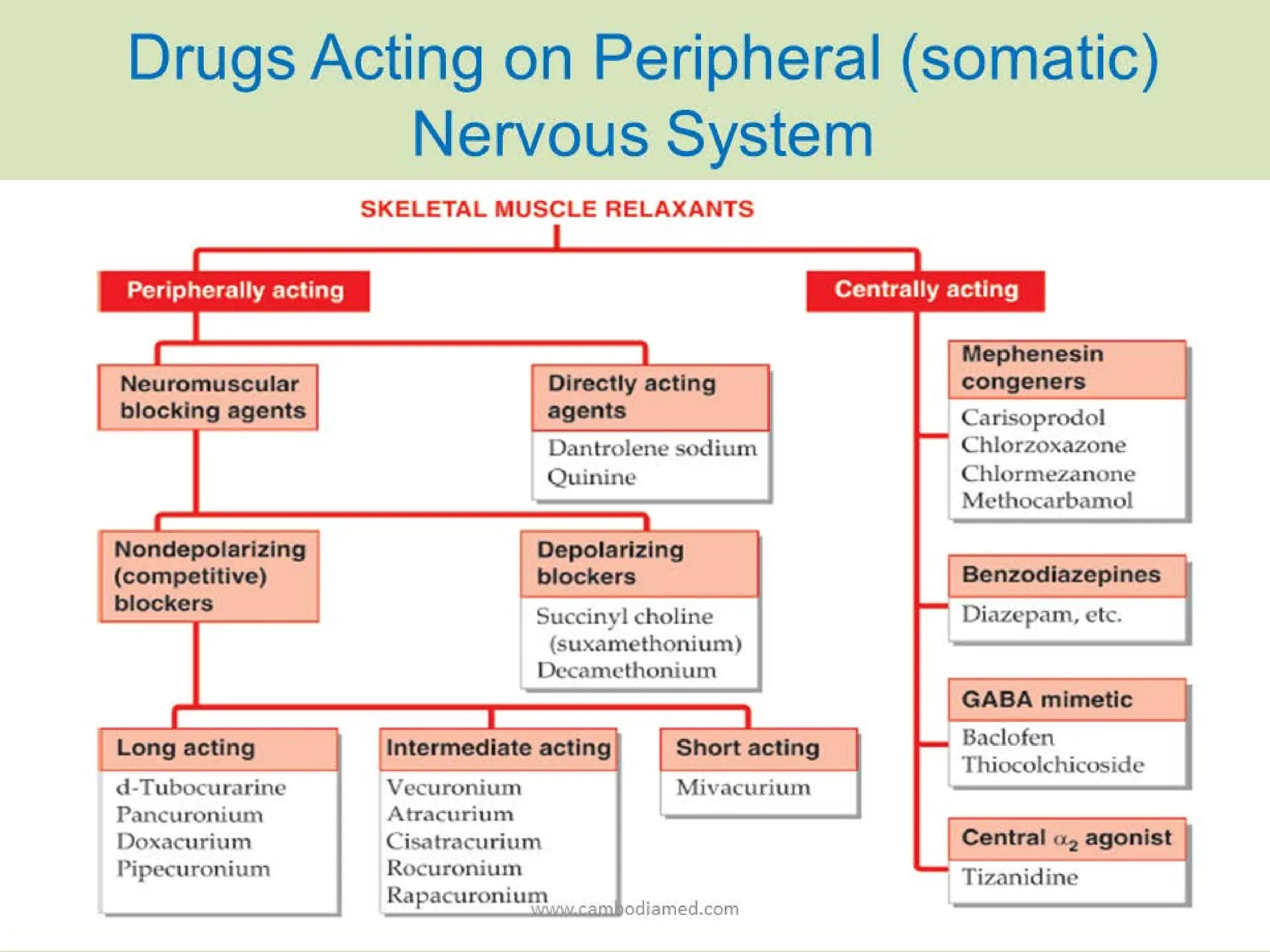 pharmacological classification of drugs from KD Tripathi | PDF