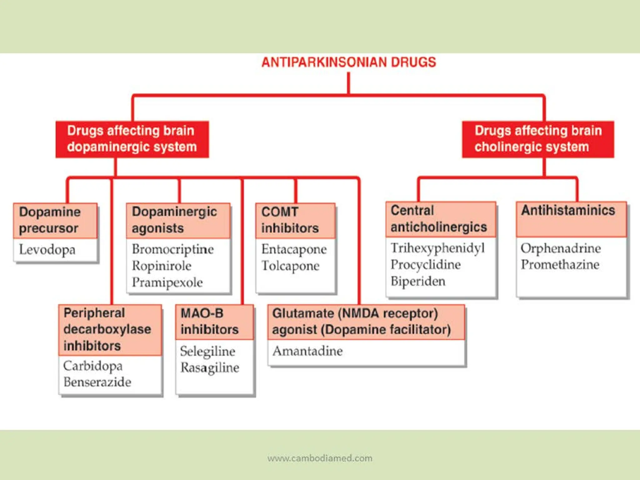 pharmacological classification of drugs from KD Tripathi | PDF