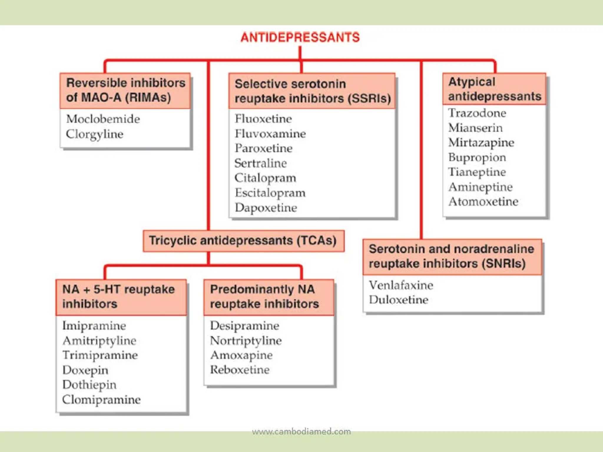 pharmacological classification of drugs from KD Tripathi | PDF