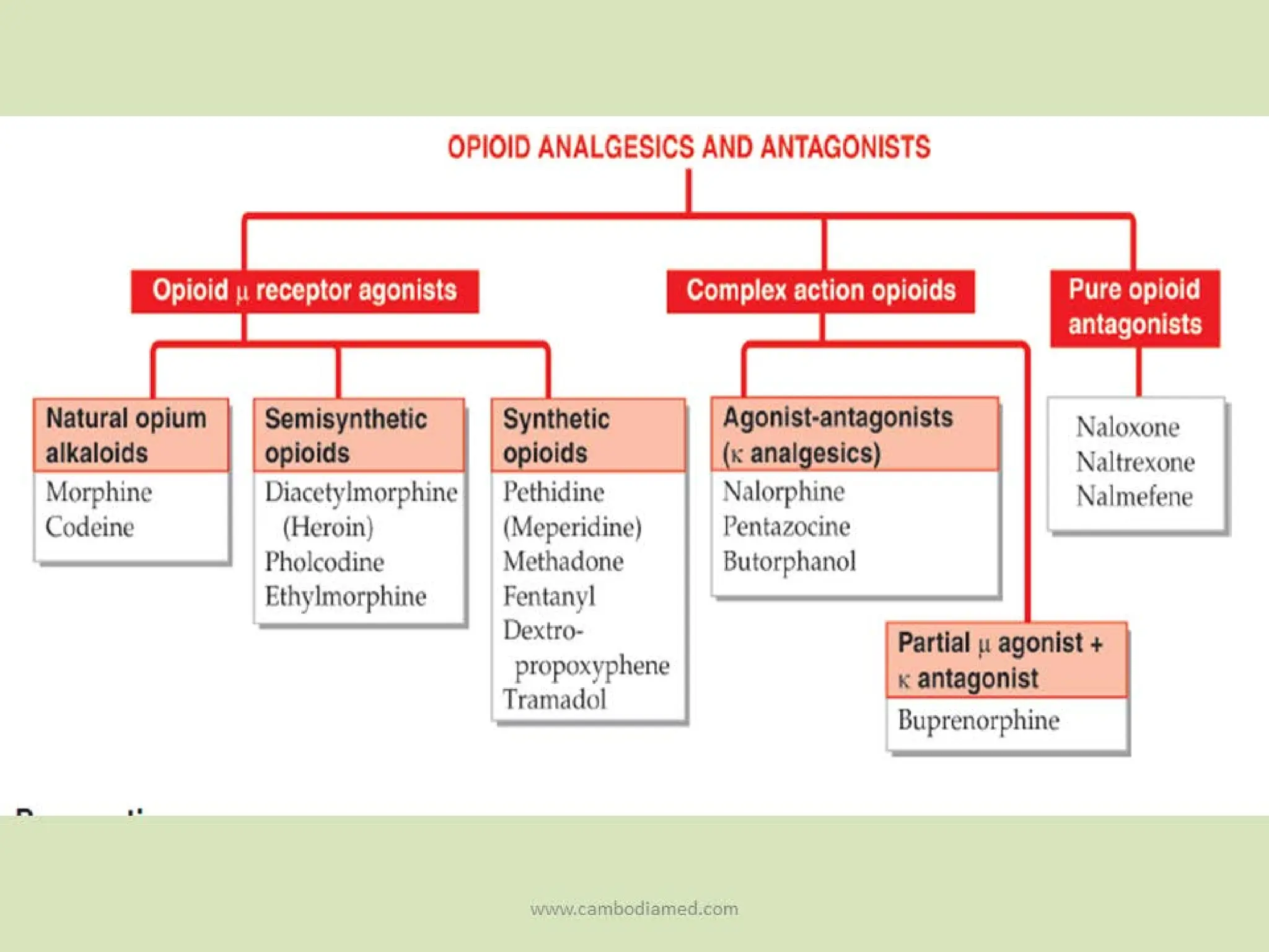 pharmacological classification of drugs from KD Tripathi | PDF