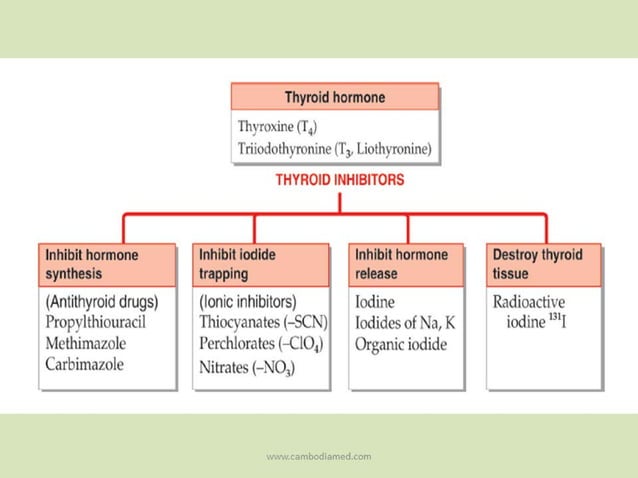 pharmacological classification of drugs from KD Tripathi | PDF