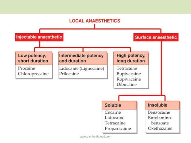 pharmacological classification of drugs from KD Tripathi | PDF