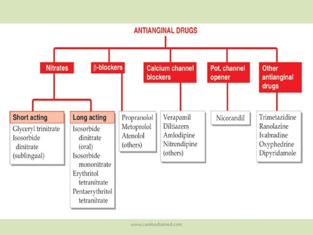 pharmacological classification of drugs from KD Tripathi | PDF