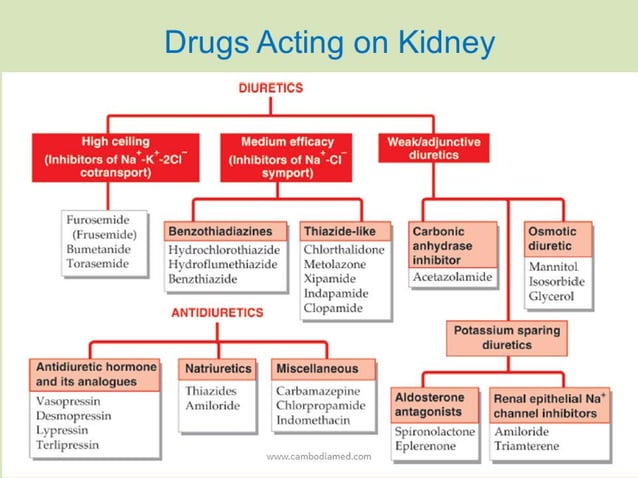 pharmacological classification of drugs from KD Tripathi | PDF
