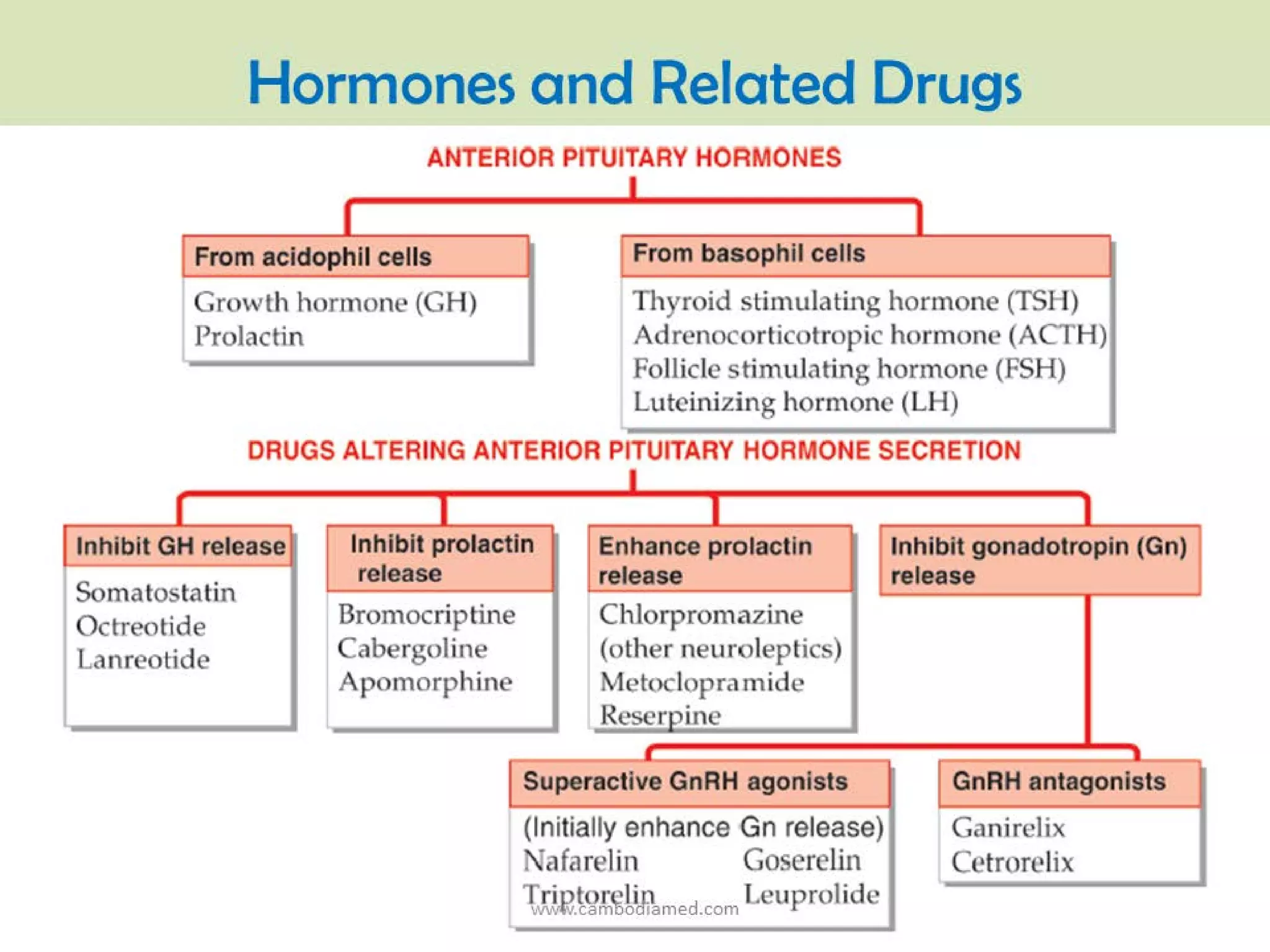 Pharmacological classification of_drug1 (2) | PDF