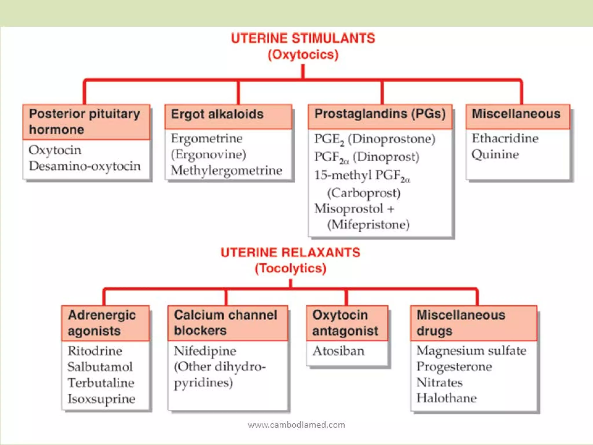 Pharmacological classification of_drug1 (2) | PDF