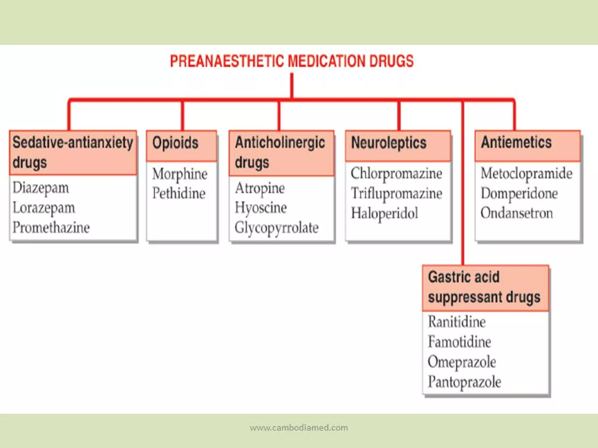 Pharmacological classification of_drug1 (2) | PDF