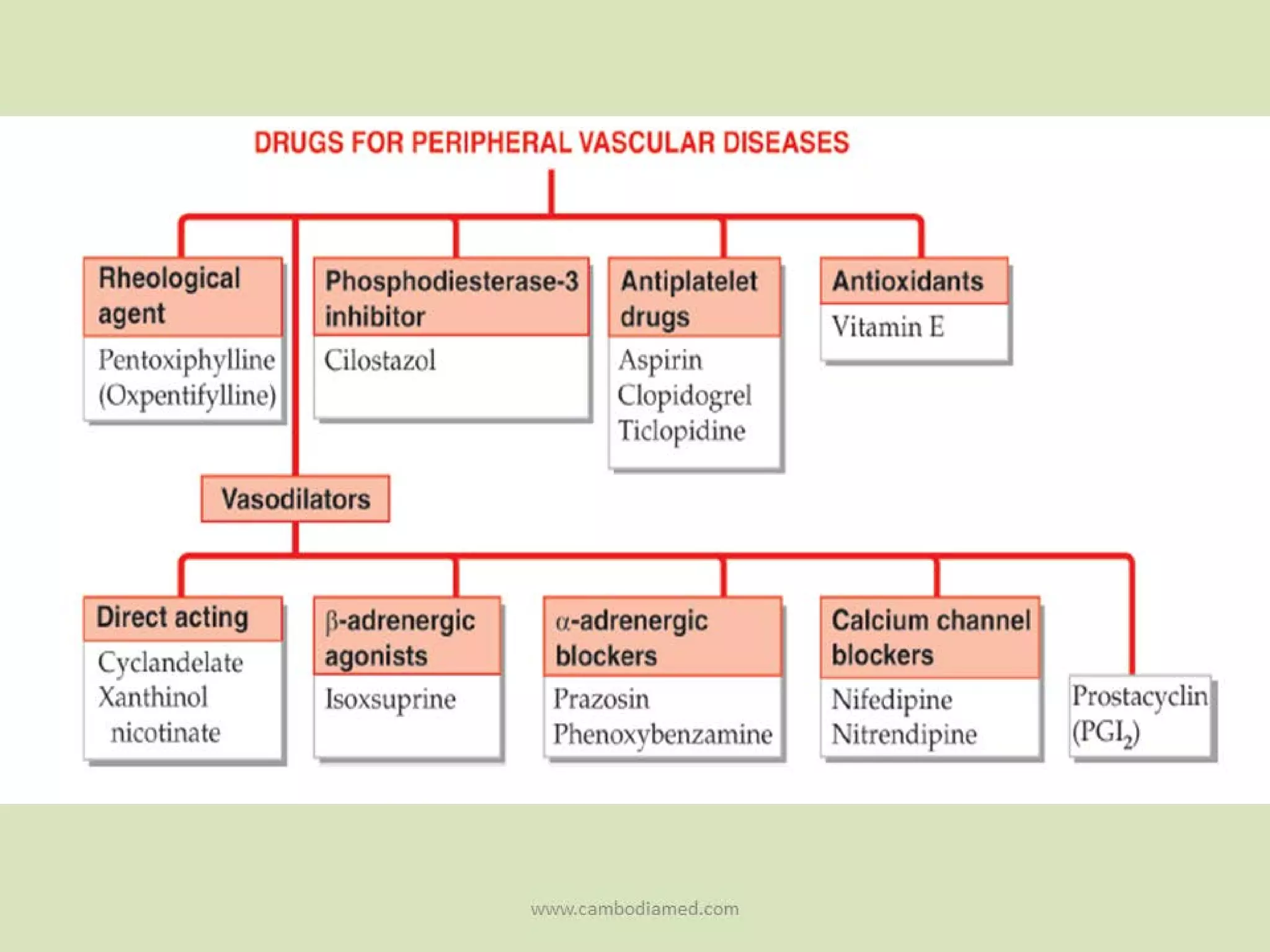 Pharmacological classification of_drug1 (2) | PDF