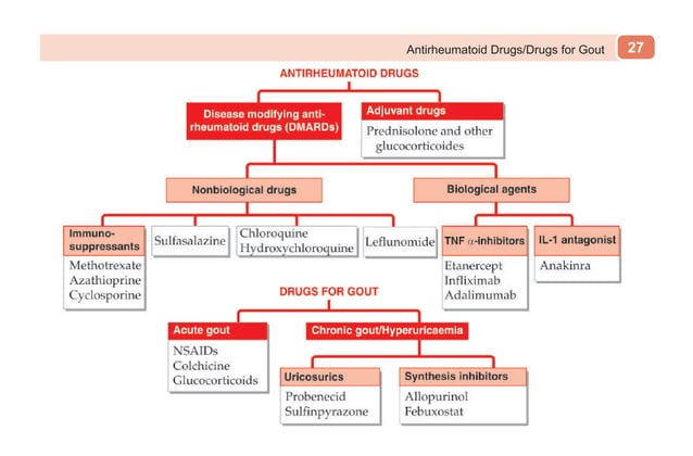 Pharmacological classification of Drug by KD Tripathi.pdf | Pharmaceutical Industry | Industries