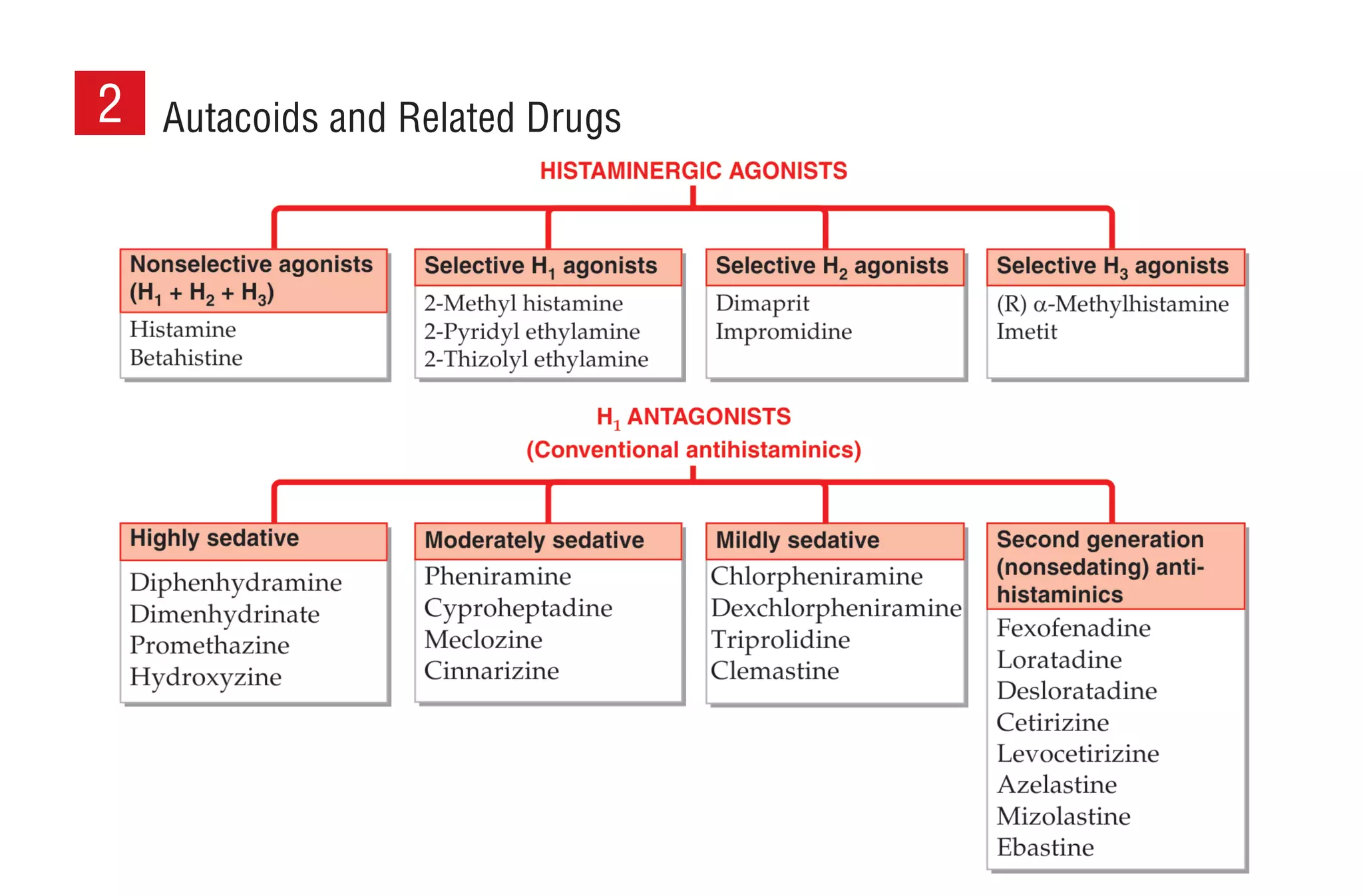 Pharmacological Classification of Drugs with Doses and Preparations ( PDFDrive ).pdf