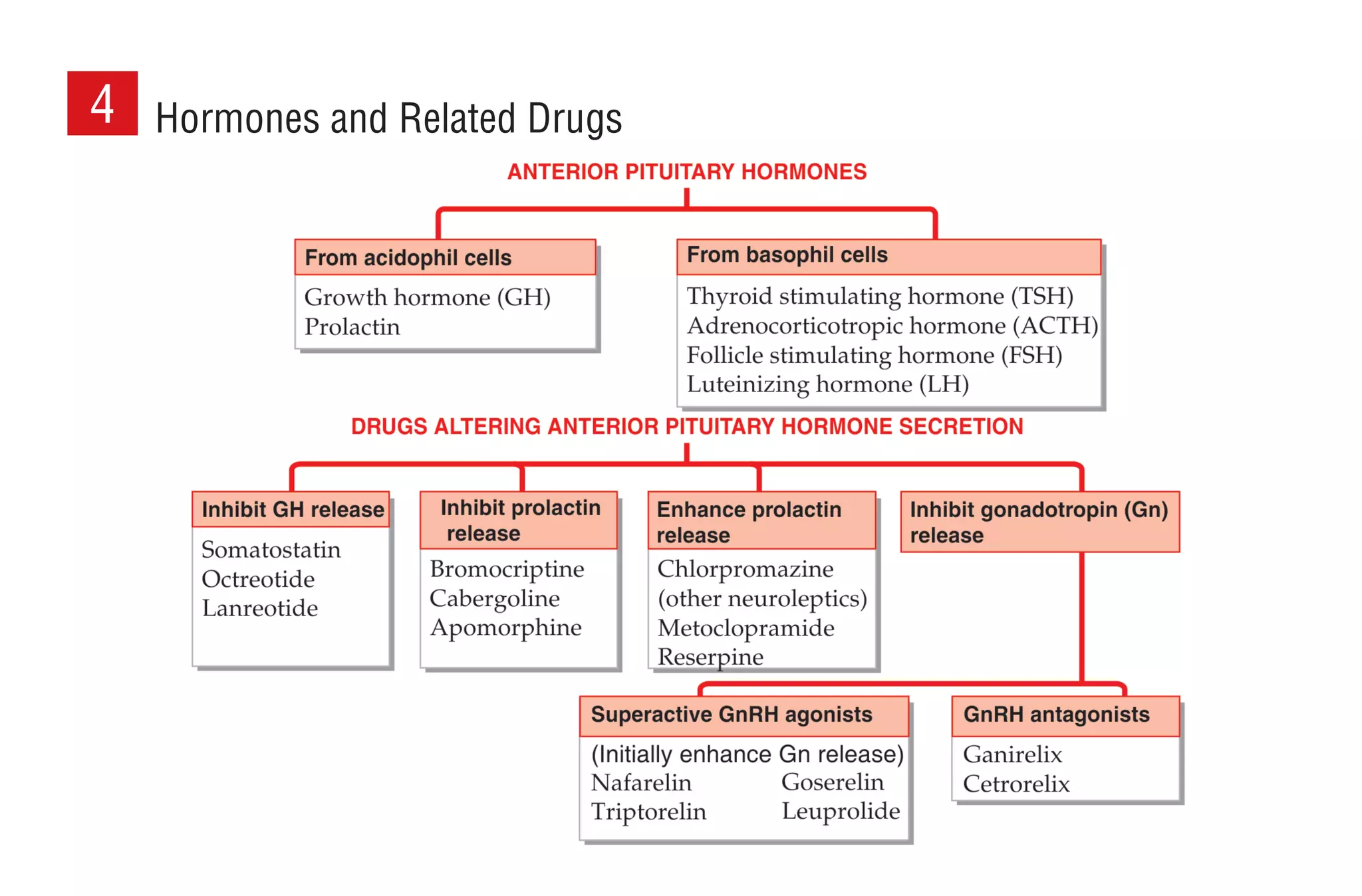Pharmacological Classification of Drugs with Doses and Preparations ...