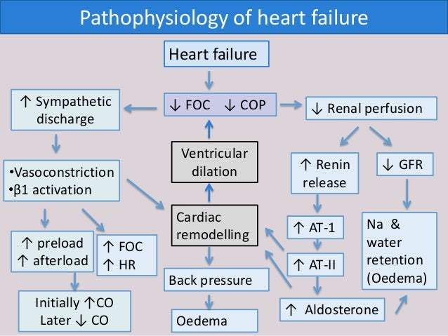 Pharmacological management of heart failure