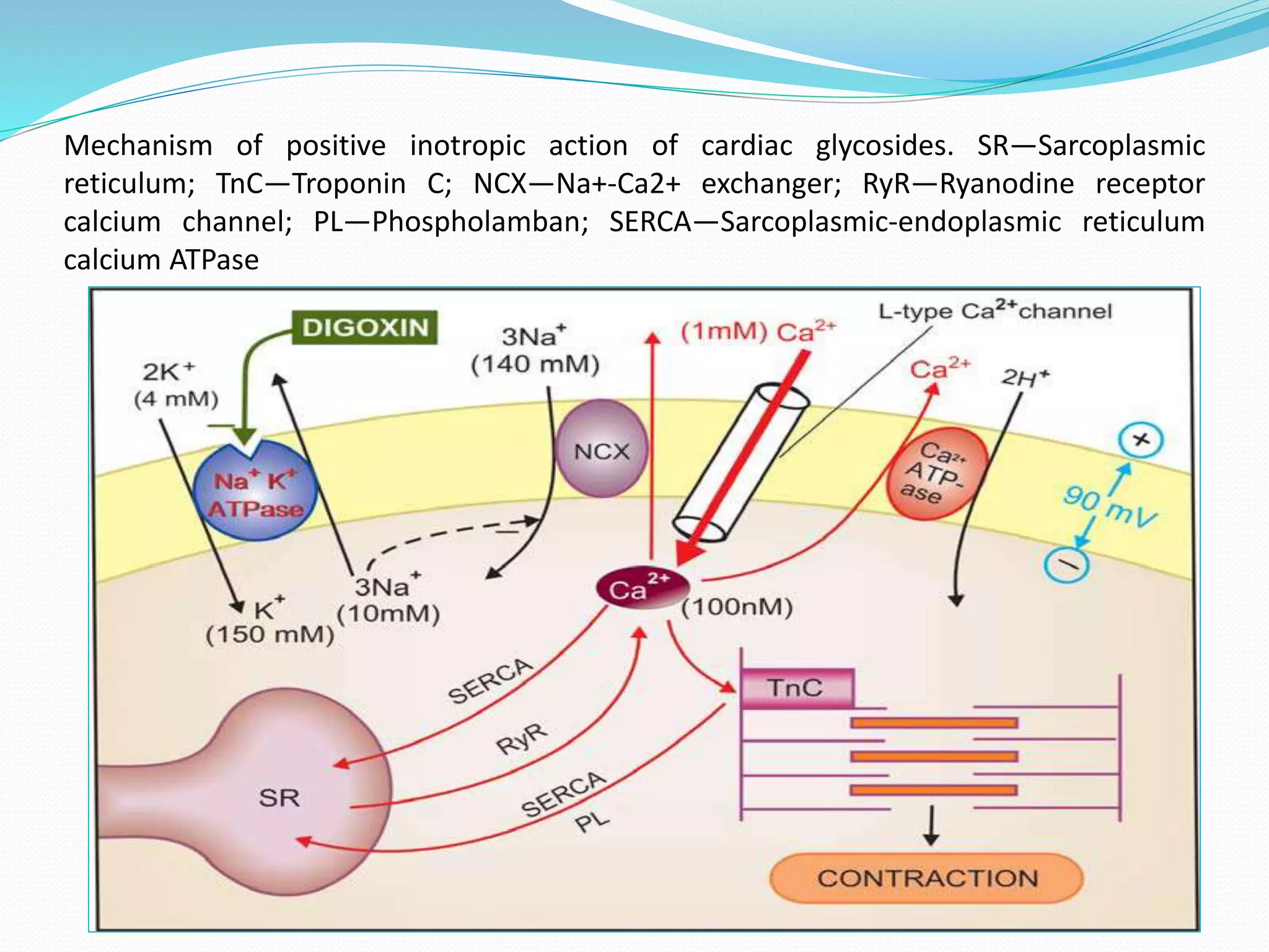 Pharmacological treatment of heart failure | PPTX