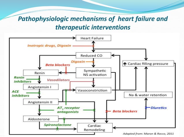 Pharmacological treatment of heart failure