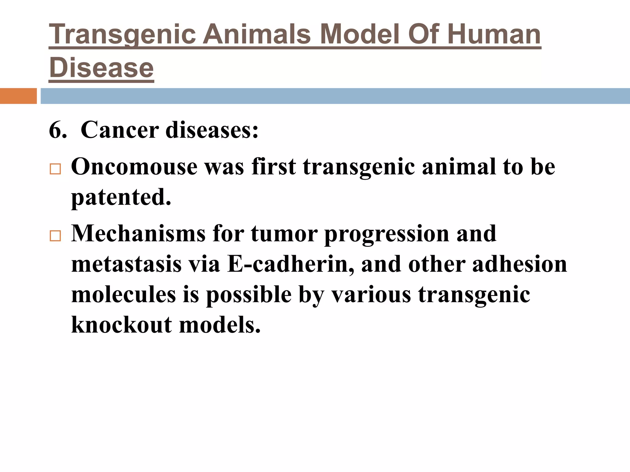 Transgenic animal | PPTX
