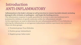 Anti Inflammatory test | PPT