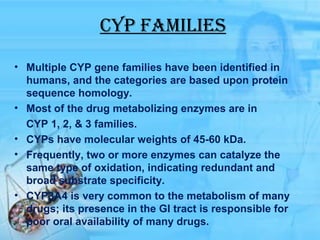 Phase - I Metabolism | PPT