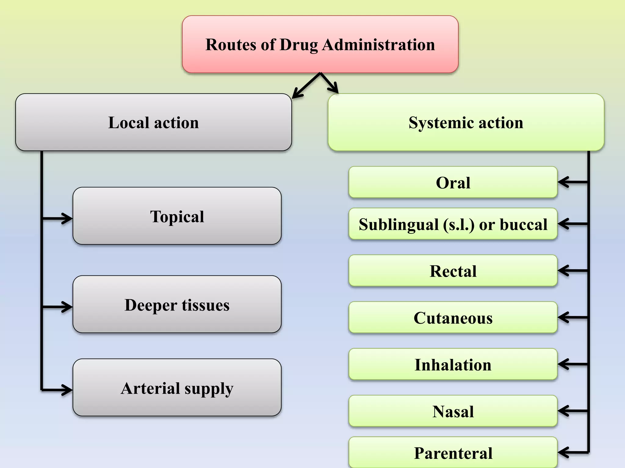 Pharmacology | PPTX
