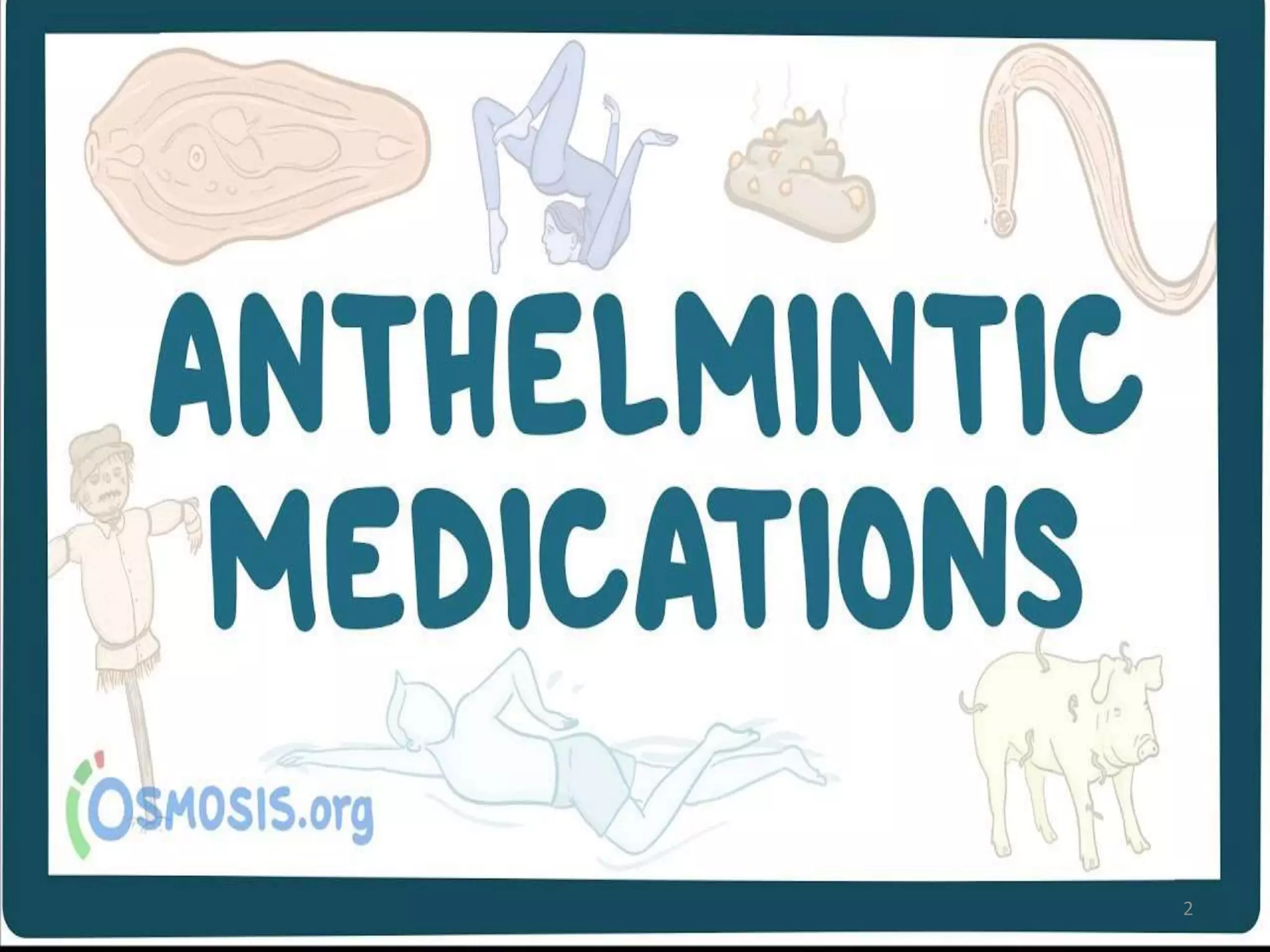 Anthelmintic Drugs [Pharmacology] | PPTX