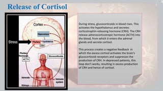 Stress with Heart Attack | PPTX