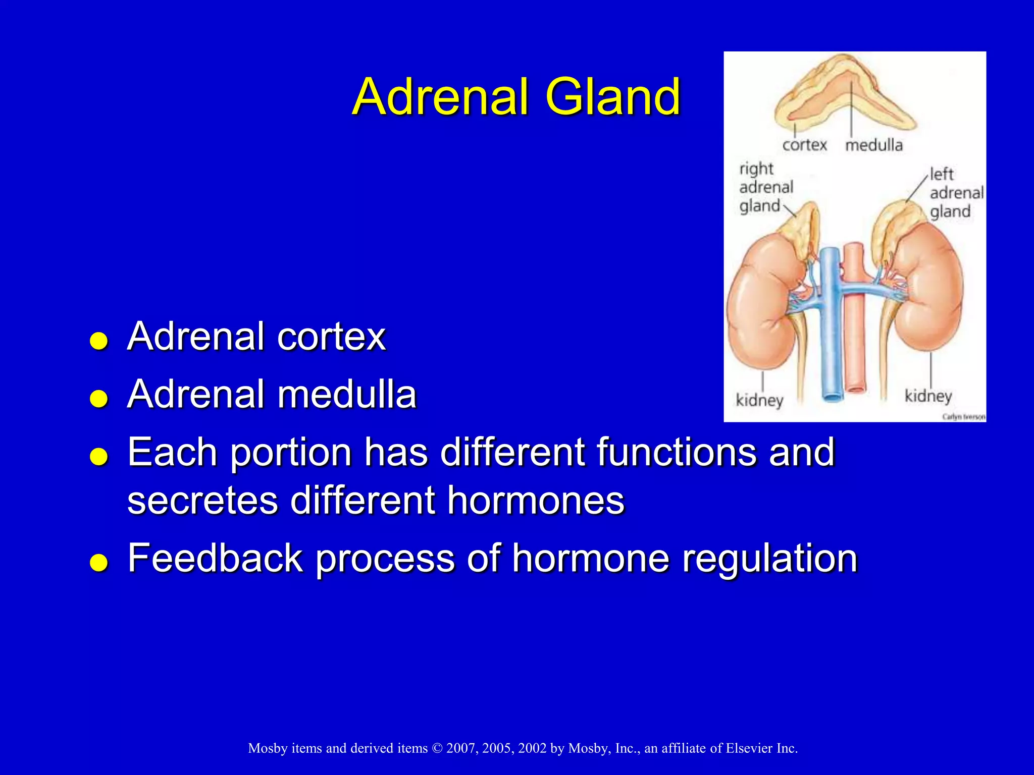 Pharmacology-Adrenaldrugs.ppt