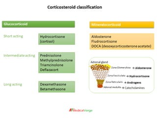Pharmacology-Adrenaldrugs.ppt