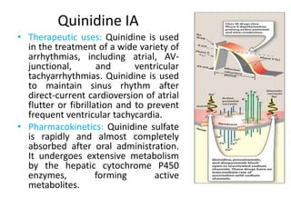 Quinidine Mechanism Of Action