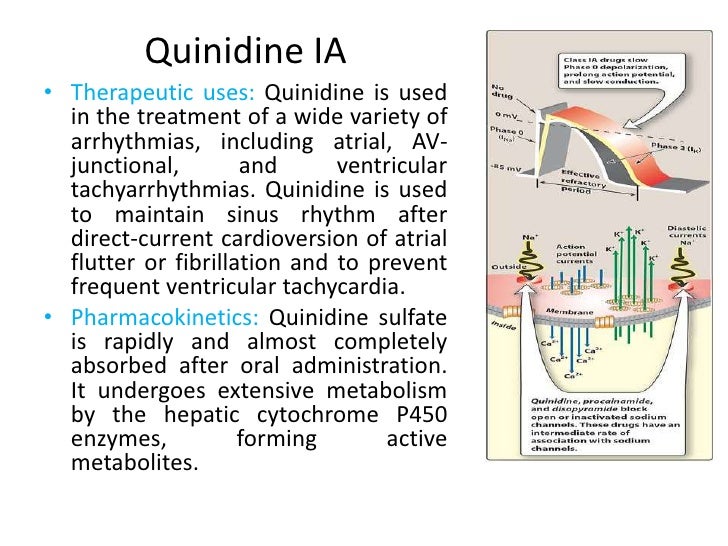 Quinidine Uses