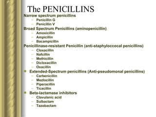PHARMACOLOGY - ANTIBIOTICS | PPT