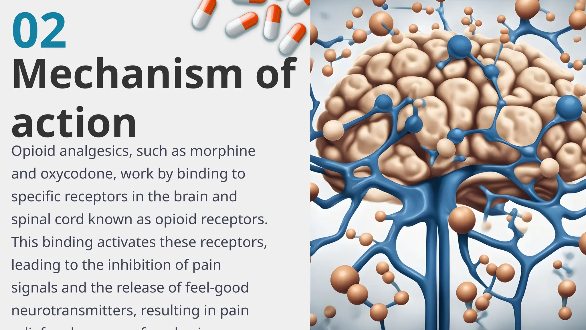 Pharmacology presentation on opioids analgesics.pptx