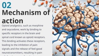 Pharmacology presentation on opioids analgesics.pptx | Illegal Drugs ...