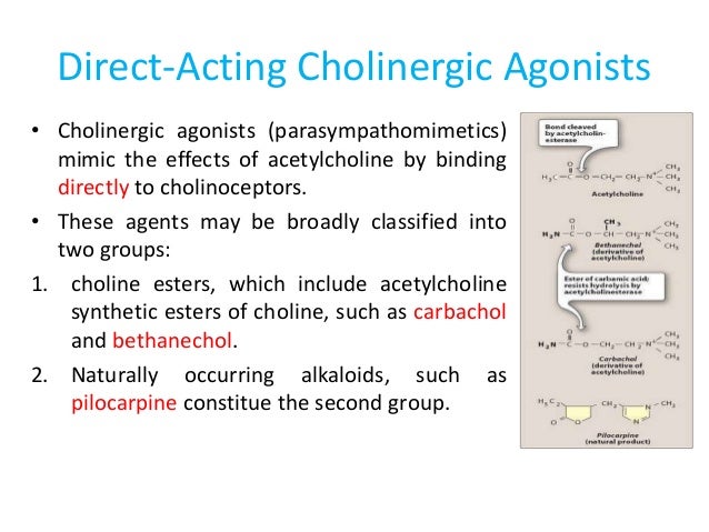 Pharmacology cholinergic agonist