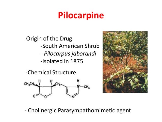 Pharmacology cholinergic agonist