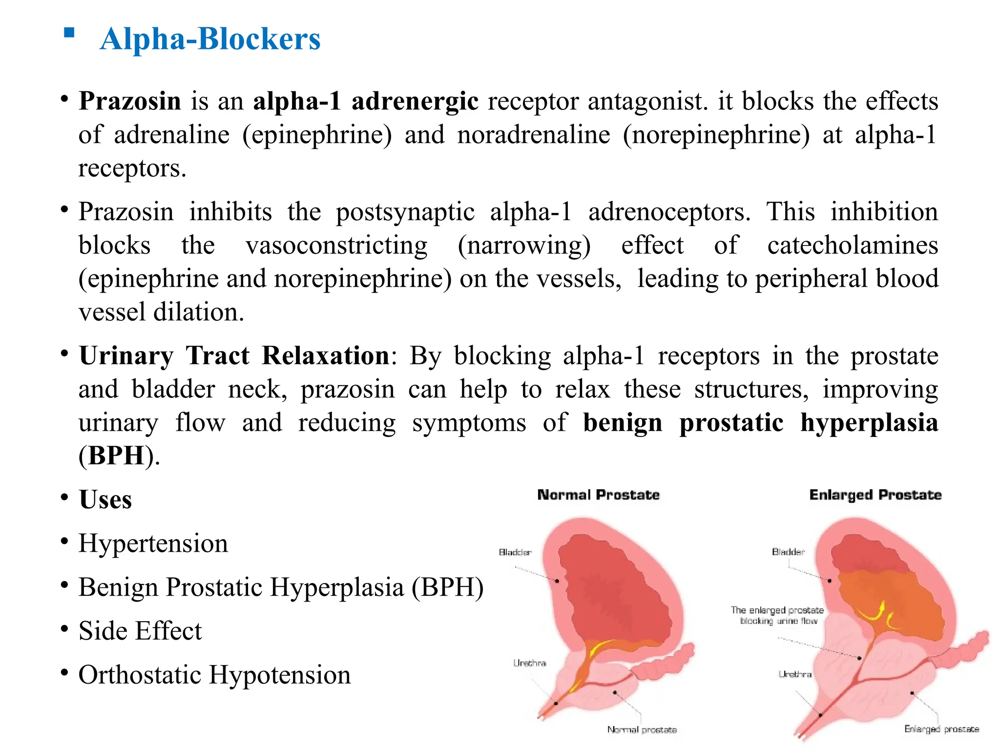 Pharmacology-II Unit-I. Pharmacology of Drugs Acting on Cardio Vascular ...