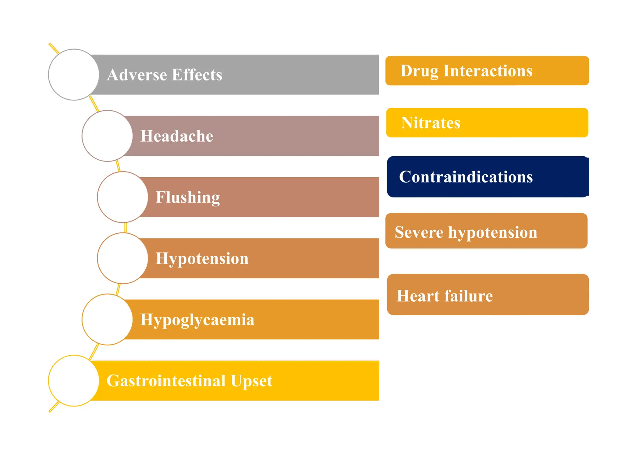 Pharmacology-II Unit-I. Pharmacology of Drugs Acting on Cardio Vascular ...