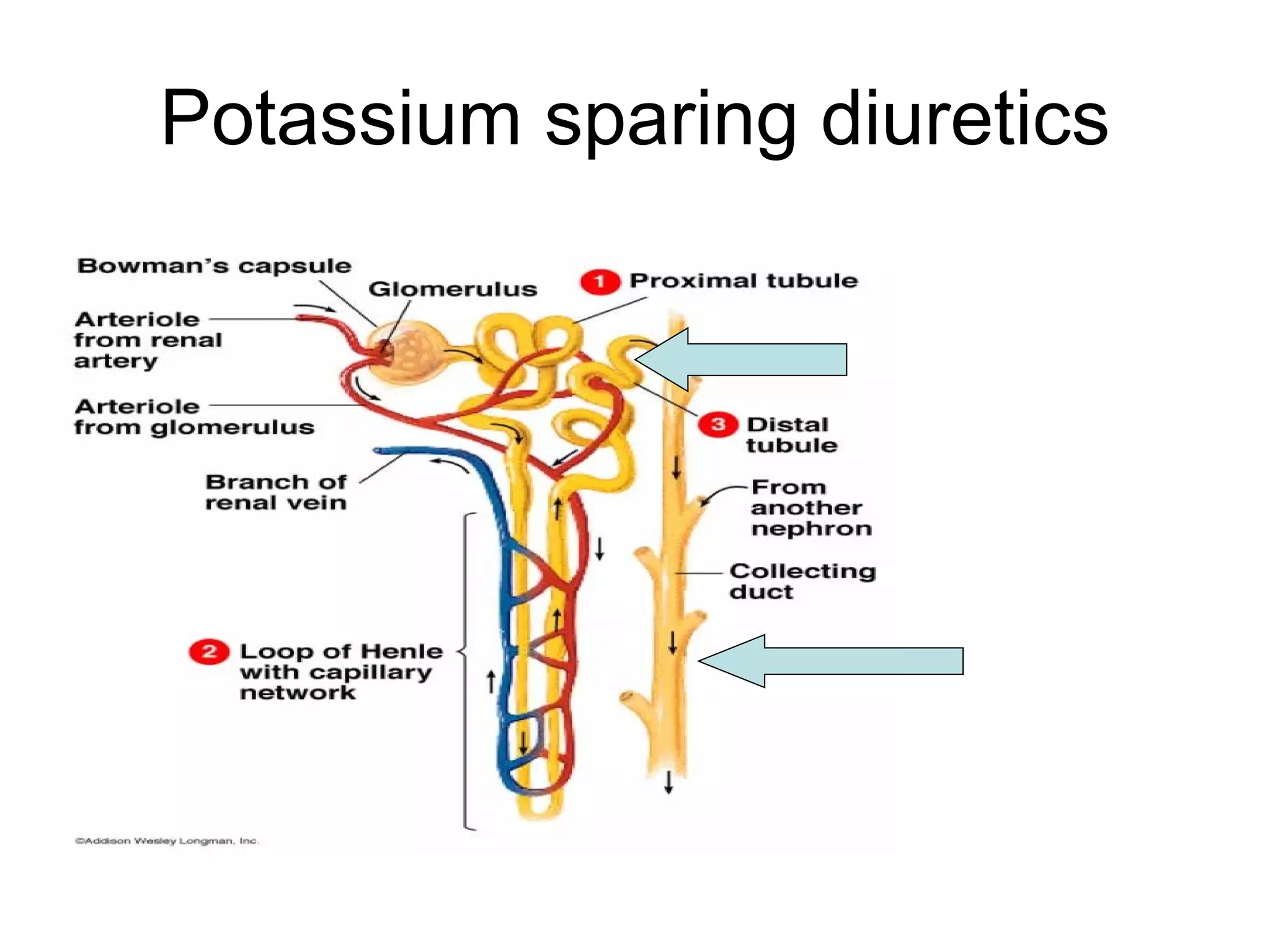 Pharmacology Kidney Drugs | PPT
