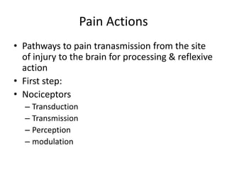Pharmacology -pain management 3 | PPTX