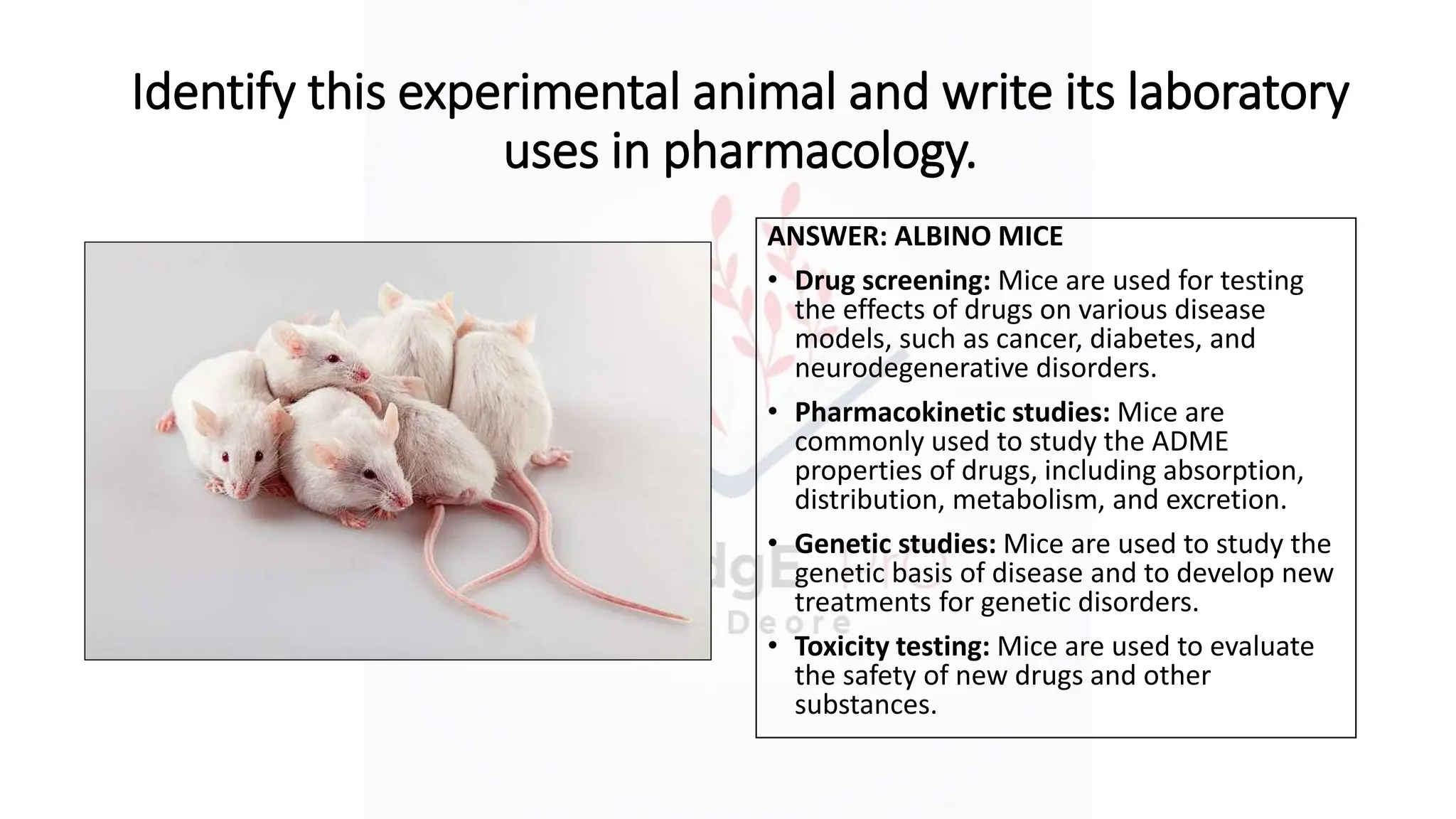 Pharmacology Experiment based Questions With Answer Keys | PPT | Free ...