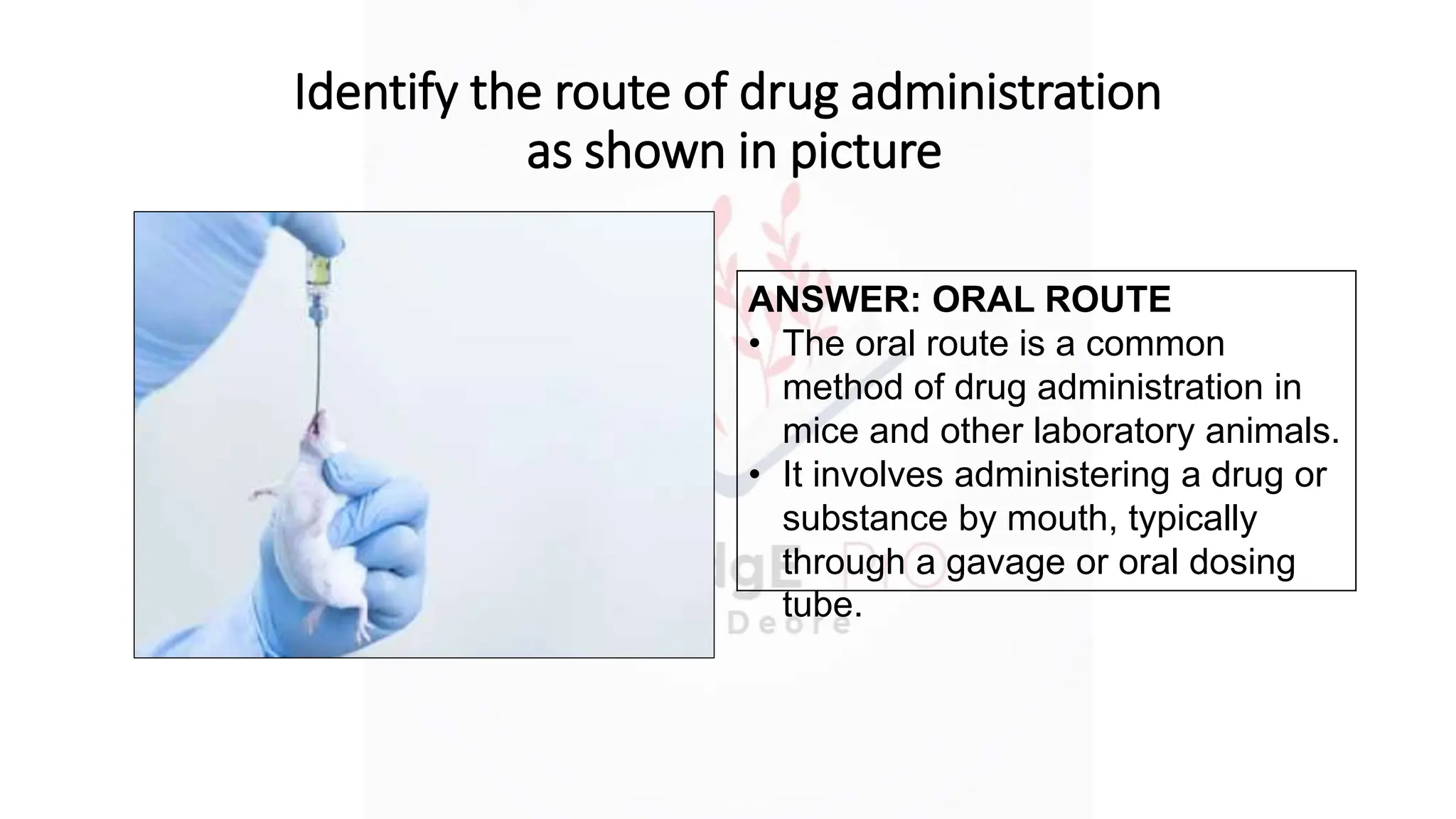 Pharmacology Experiment based Questions With Answer Keys | PPT | Free ...
