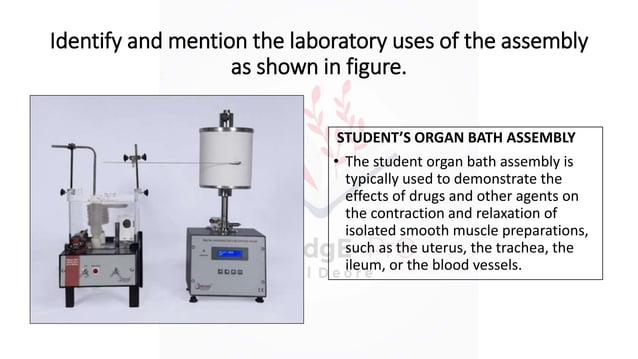 Pharmacology Experiment based Questions With Answer Keys | PPT | Free ...