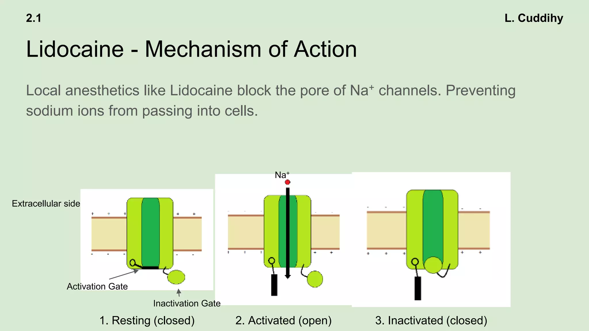 Pharmacology coursework - Drug Overdose and Drugs of Abuse | PPTX