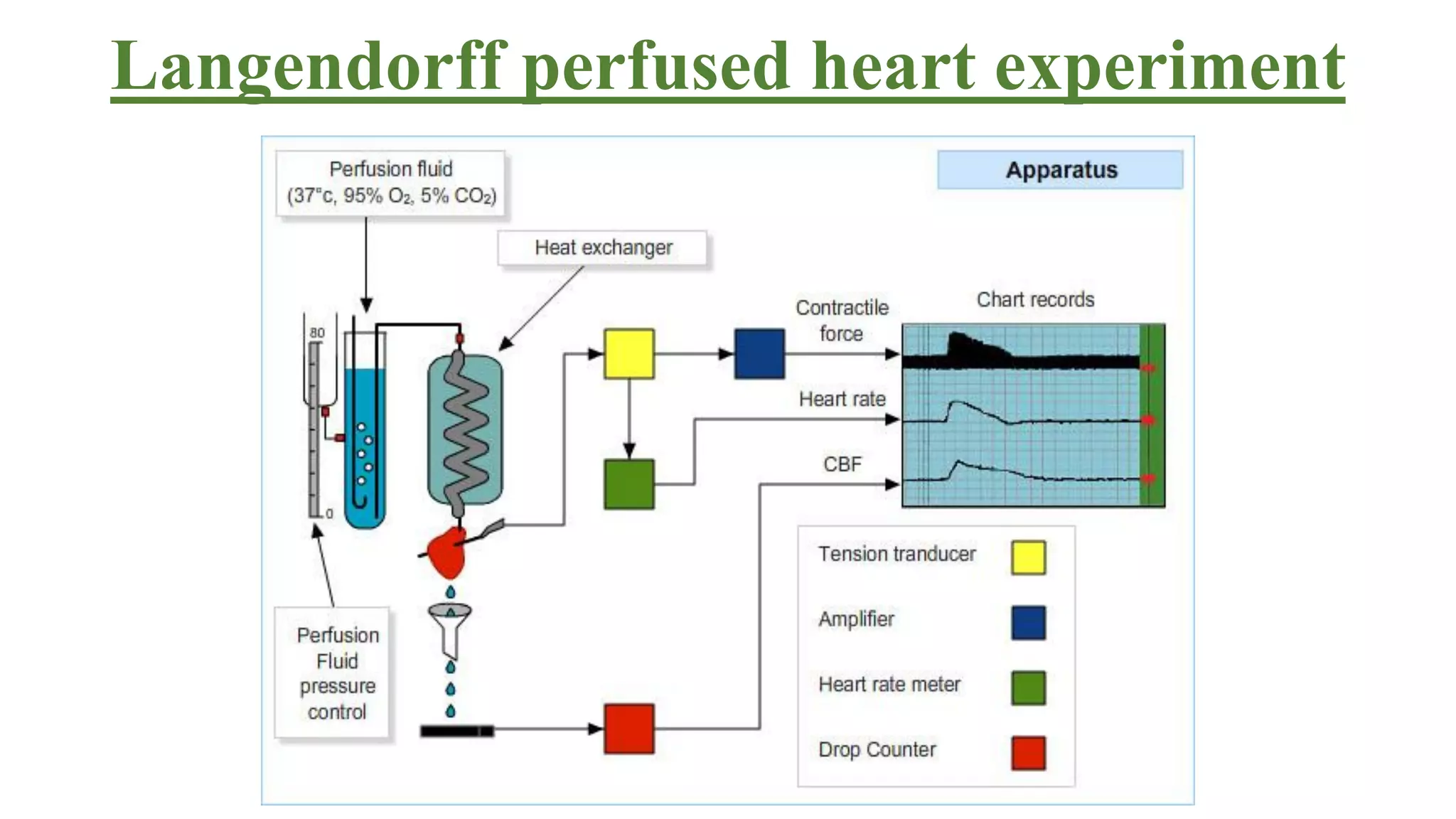 Pharmacology (effects of drugs on isolated perfused heart) | PDF