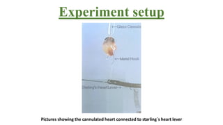 Pharmacology (effects of drugs on isolated perfused heart) | PDF