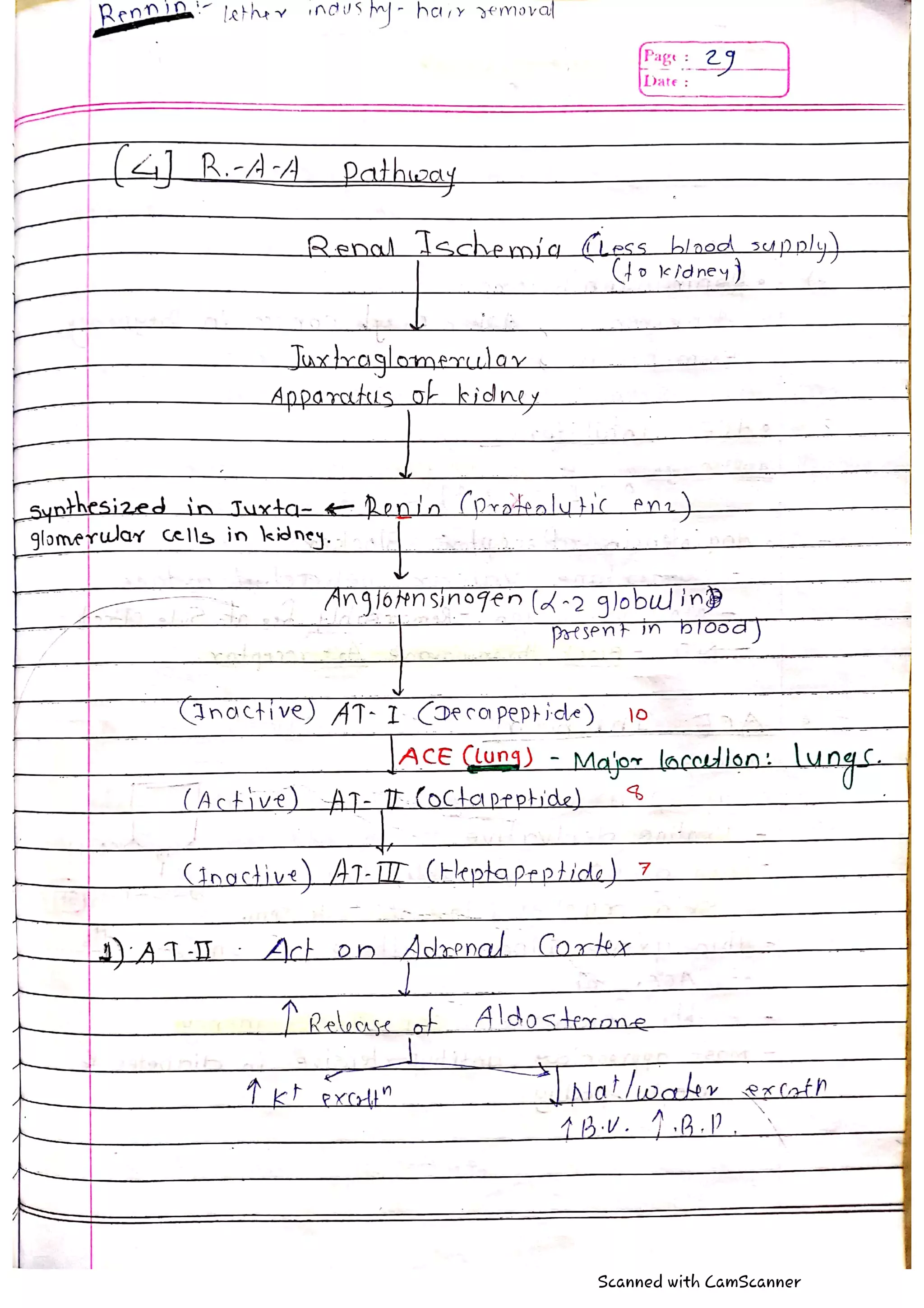 Pharmacology for GPAT | PDF