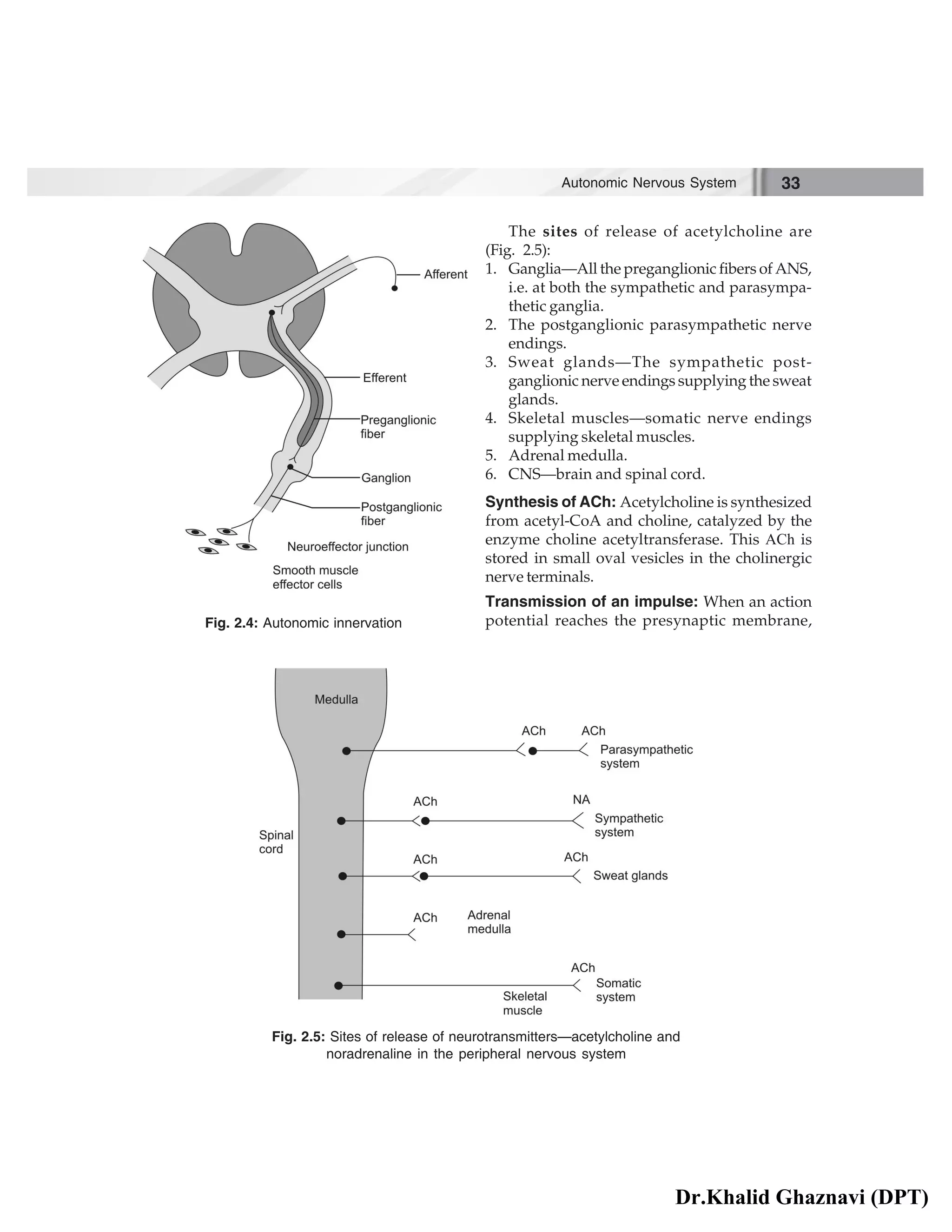 Pharmacology for Physiotherapy Book By Padmaja Udaykumar Second Edition ...
