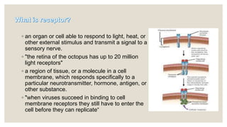 intracellular receptors | PPTX