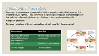 intracellular receptors | PPTX
